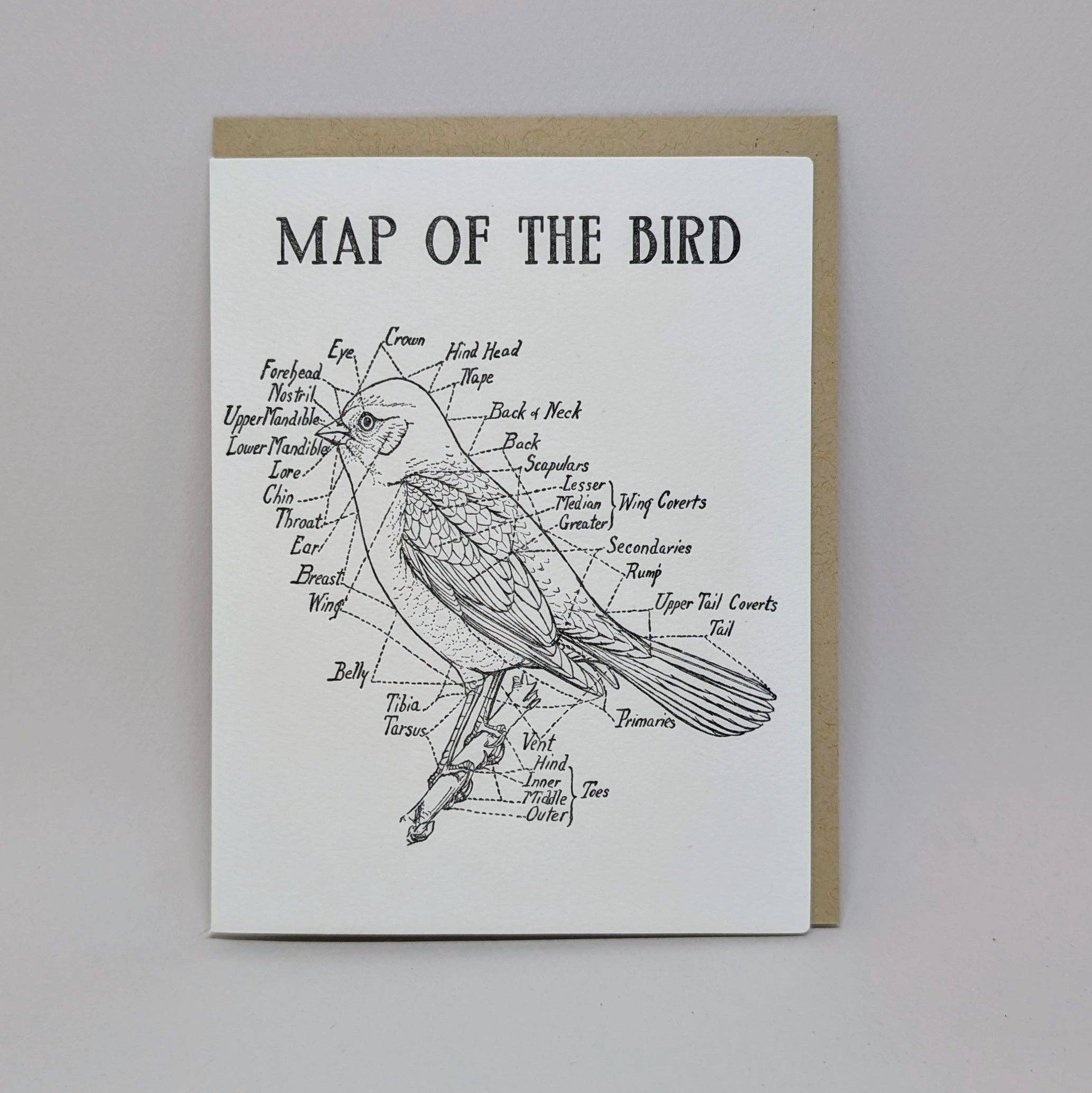 Map of the Bird – Handmade Studio